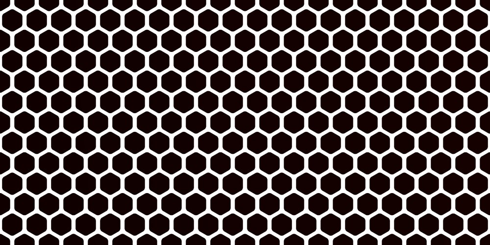 Mesh honeycomb lace pattern Royalty Free Vector Image