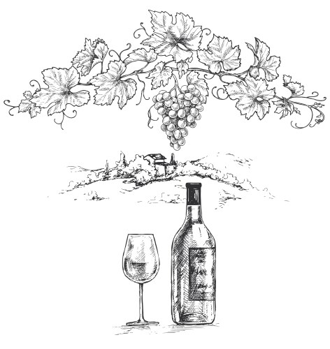 Hand drawn grape branches and vine set Royalty Free Vector