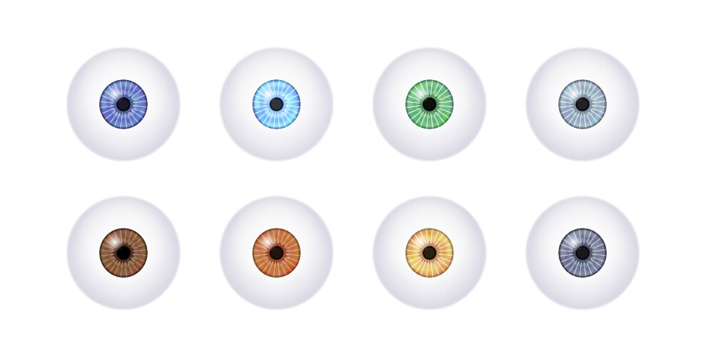 Iris medical poster Royalty Free Vector Image - VectorStock