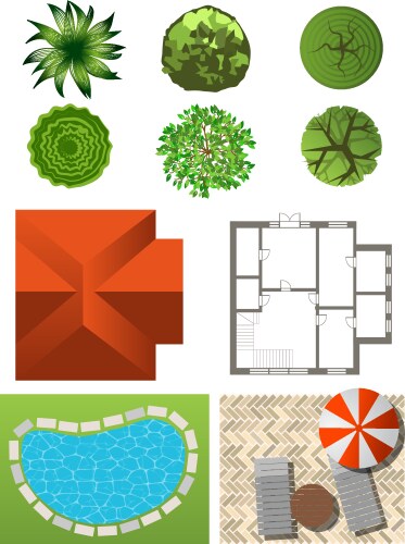 Plants Plan Vector Images (over 12,000)