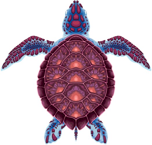 Animal Top View Vector Images (over 3,000)