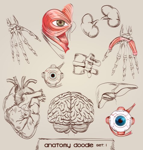 Science Sketches Vector Images (over 41,000)