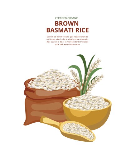 Healthy meal of rice Royalty Free Vector Image