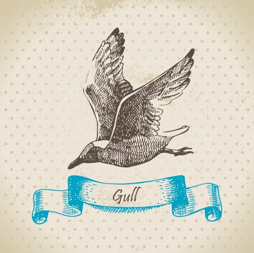 Pirate vintage hand drawn background Royalty Free Vector