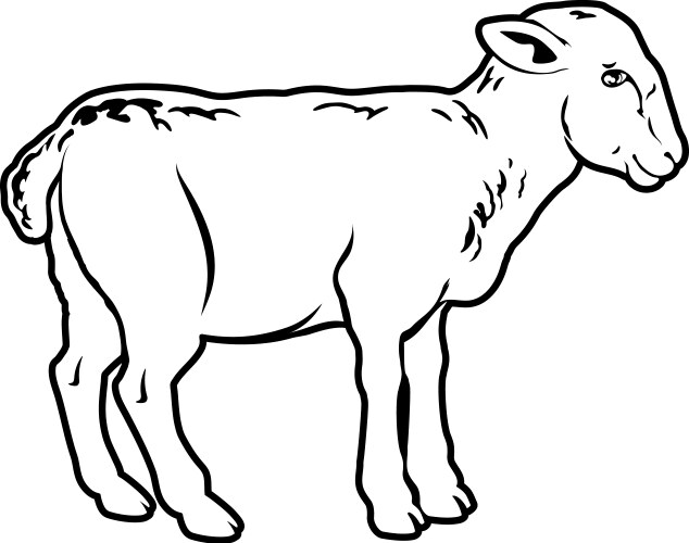 Continuous one line drawing a little lamb sheep Vector Image