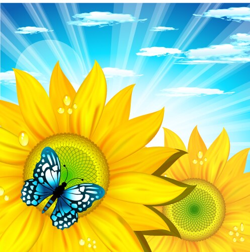Sunflowers Vector Images (over 47,000)