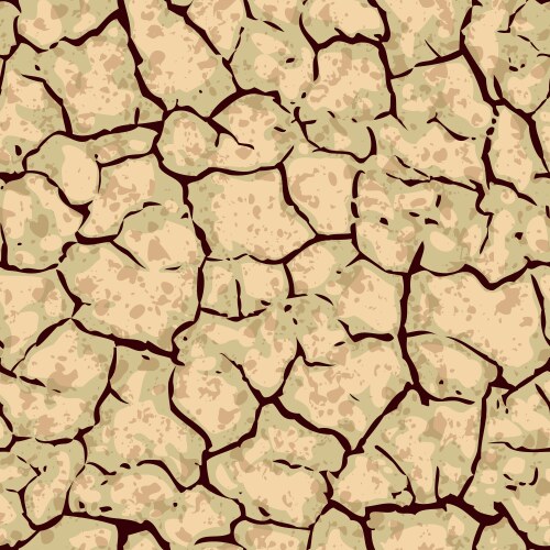Dry cracked soil Royalty Free Vector Image - VectorStock