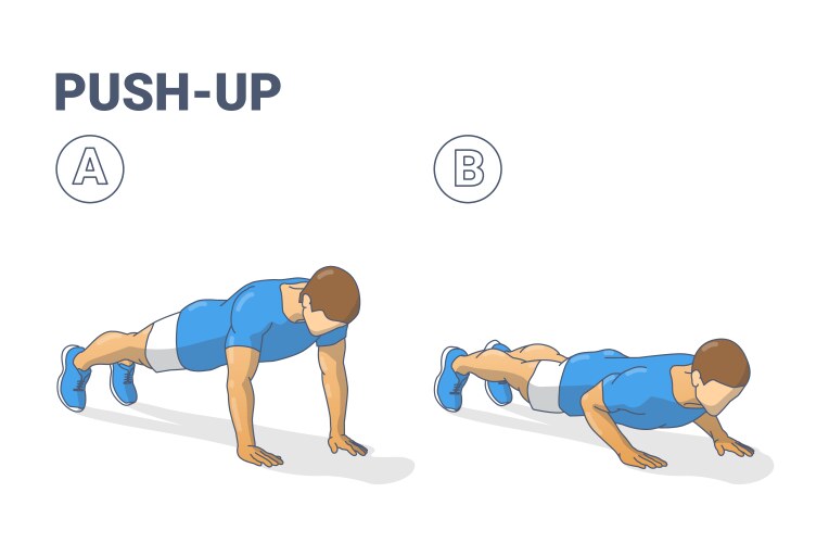 Modified knee push ups exercise Royalty Free Vector Image