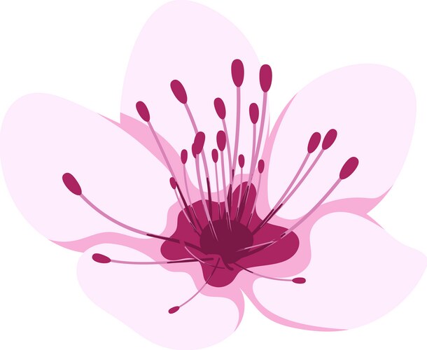 Sakura flower element japanese realistic pink Vector Image