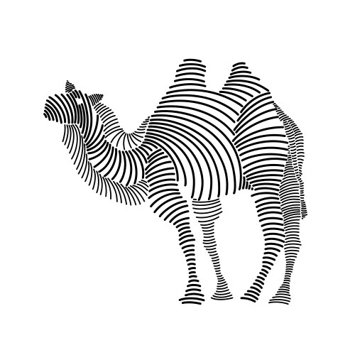 Camel Line Drawing Vector Images (over 880)