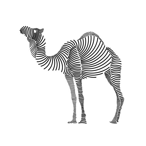 Camel Line Drawing Vector Images (over 880)