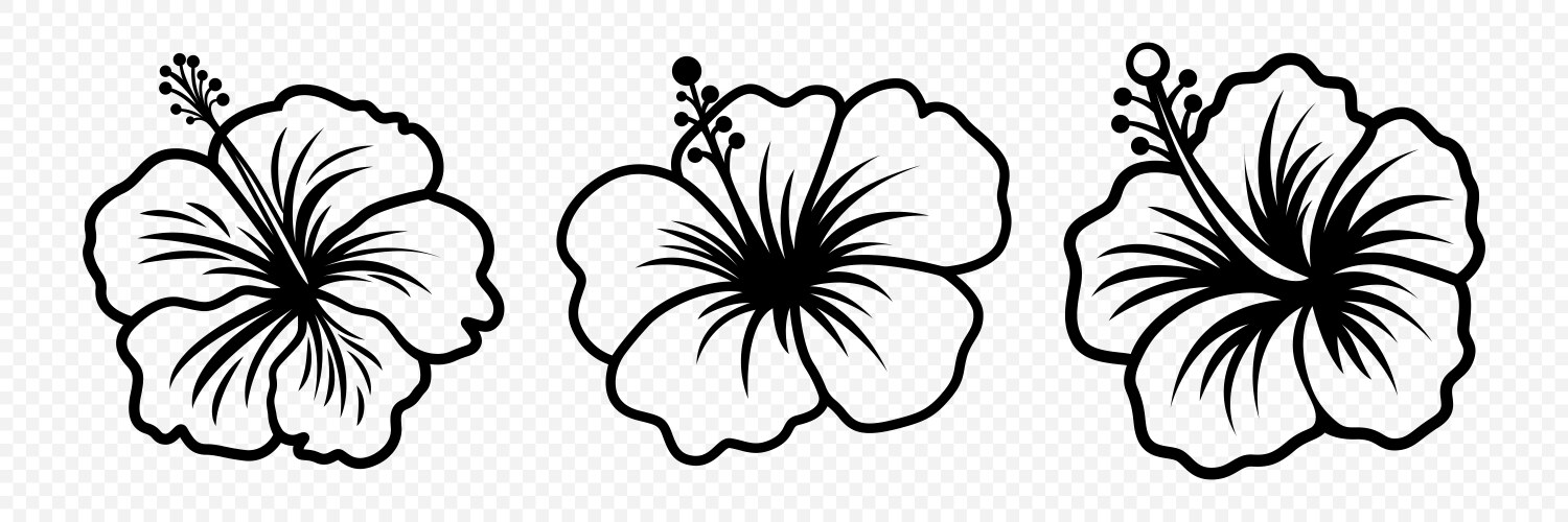 Hawaiian Flower Outline Vector Images (over 1,300)