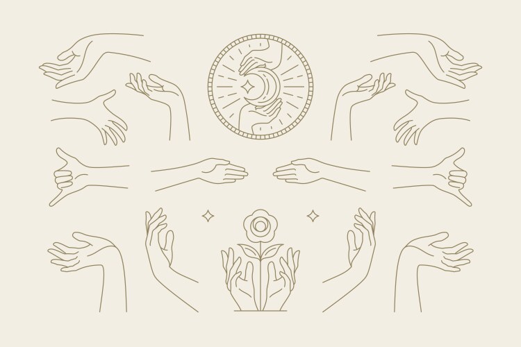 Female hands line outline elegant woman hand Vector Image