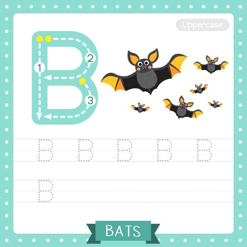 Letter B Flash Cards Vector Images (over 320)