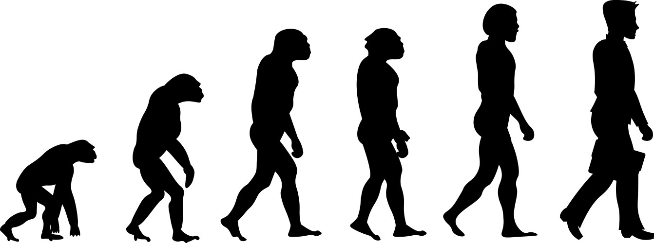 Human Evolution Timeline Royalty Free Vector Image
