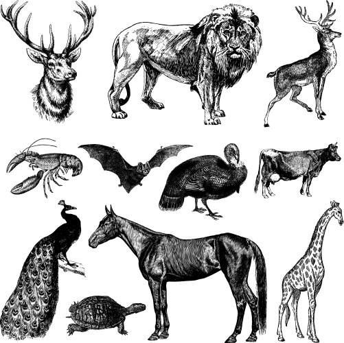 Wildlife Vector Images (over 960,000)