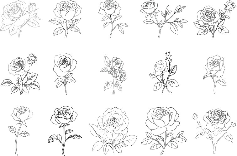 Line art of rose Royalty Free Vector Image - VectorStock