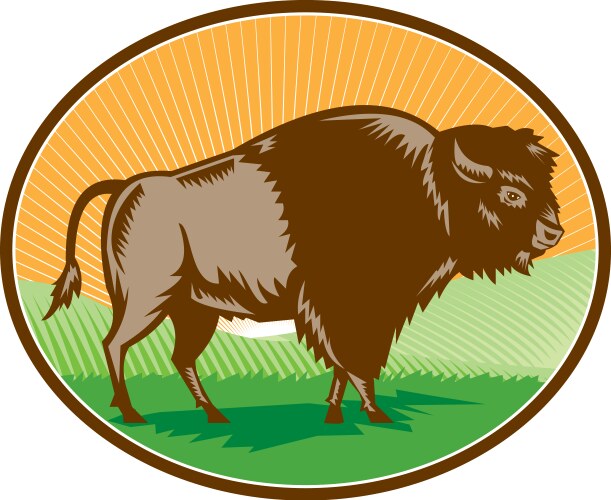 American Bison Vector Images (over 2,900)