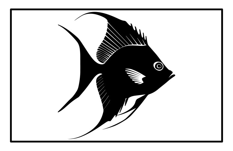 Archer fish isolated on white background Vector Image