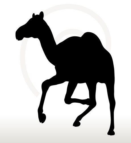 Camel Outline Vector Images (over 3,900)