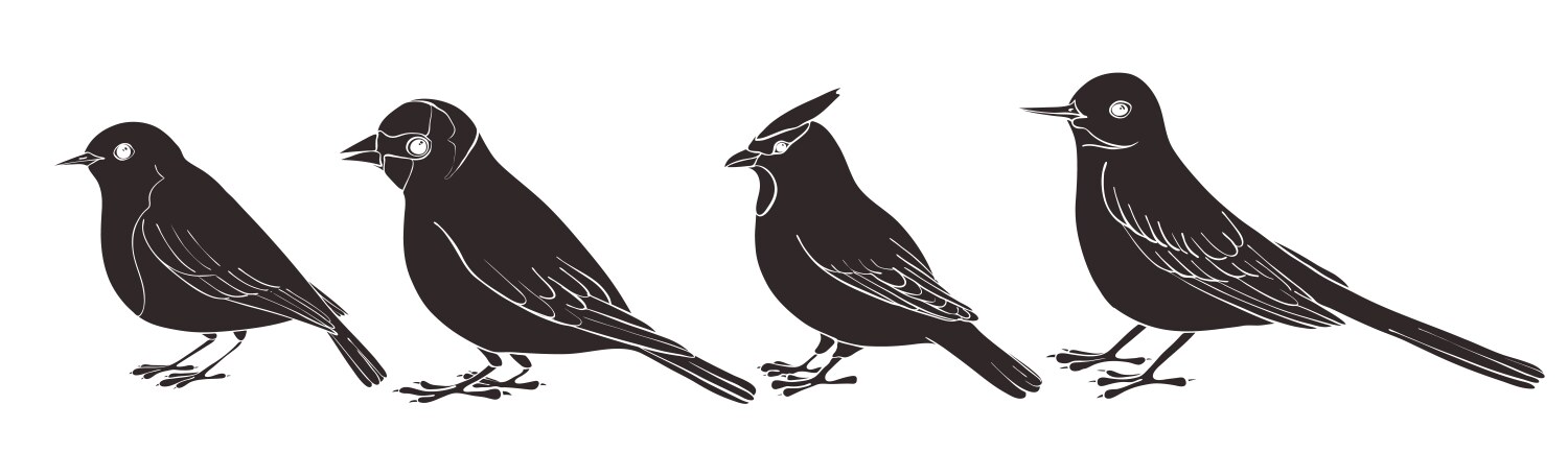 Birds Vector Images (over 540,000)
