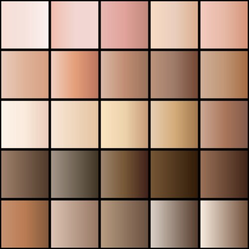 Skin tones palette Royalty Free Vector Image - VectorStock