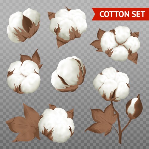 Cotton Plant Vector Images (over 7,000)