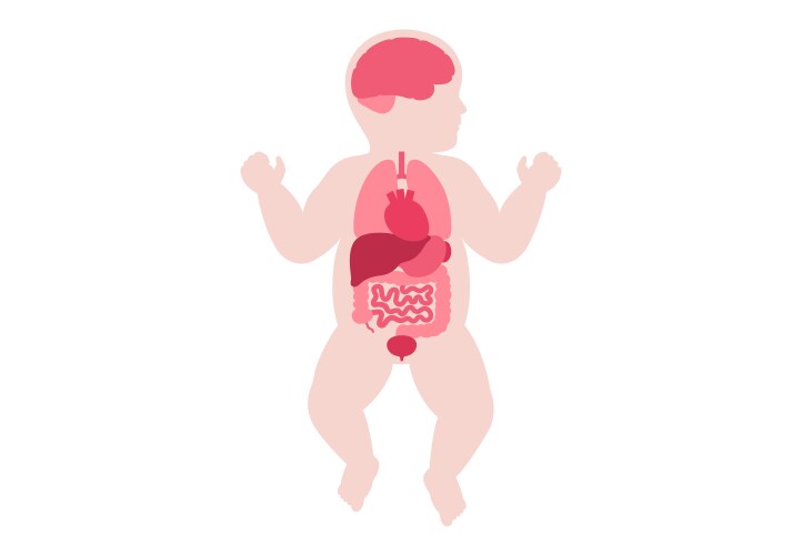 Internal Vector Images (over 550,000)