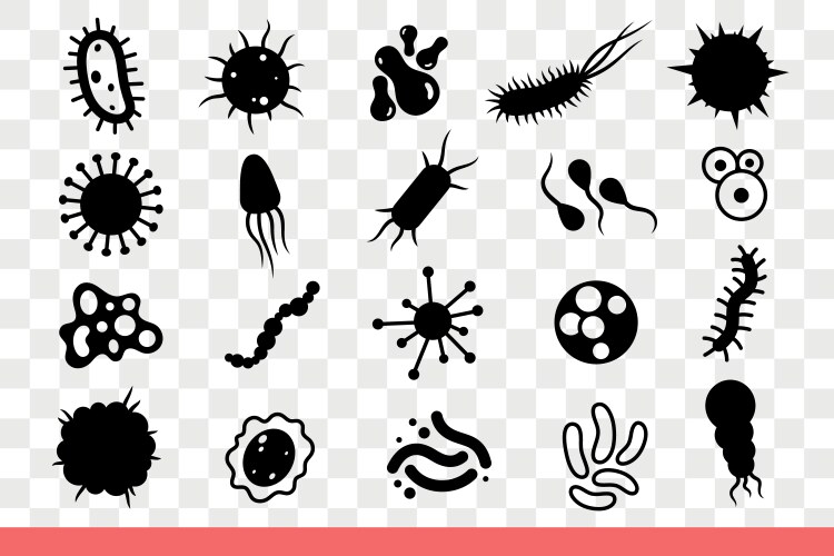 Bacteria Vector Images (over 160,000)