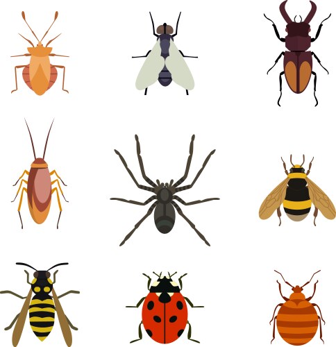 Insects icons flat set Royalty Free Vector Image
