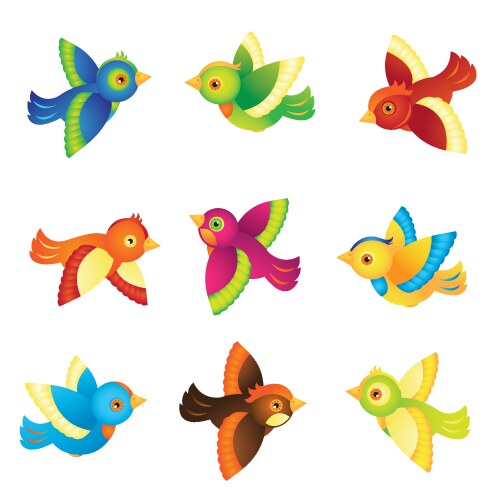 Collection of birds Royalty Free Vector Image - VectorStock