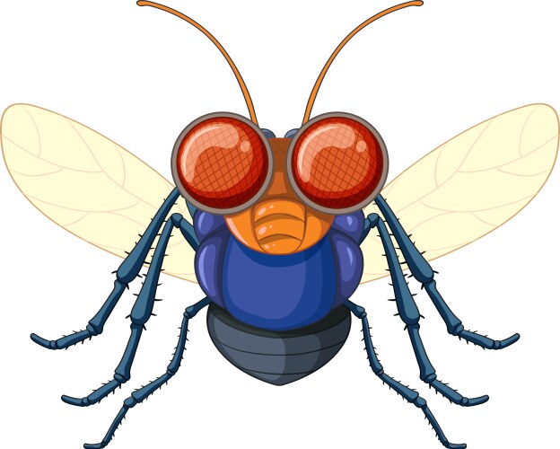 Happy fly cartoon character Royalty Free Vector Image