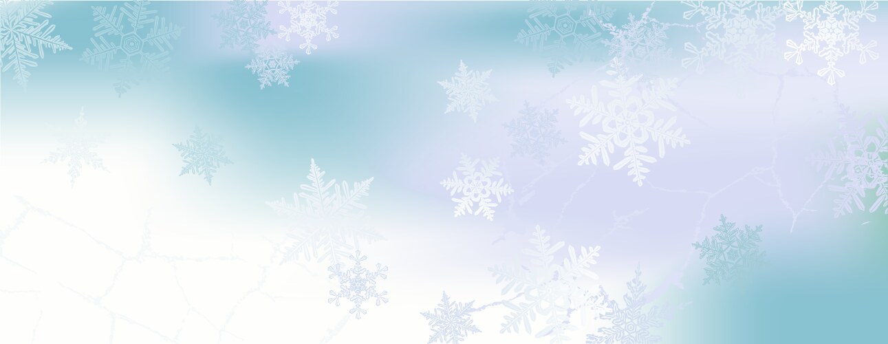 Snowy winter panoramic banner Royalty Free Vector Image