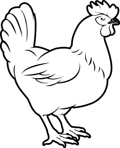 Chicken Vector Images (over 210,000)