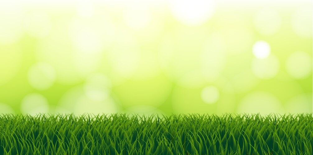 Grass border with isolated background Royalty Free Vector