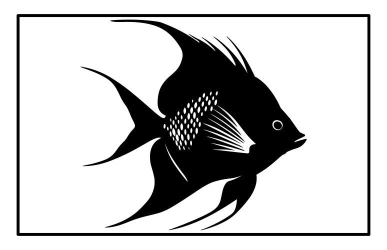 Archer fish isolated on white background Vector Image