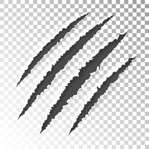 Scratch Texture Vector Images (over 490,000)