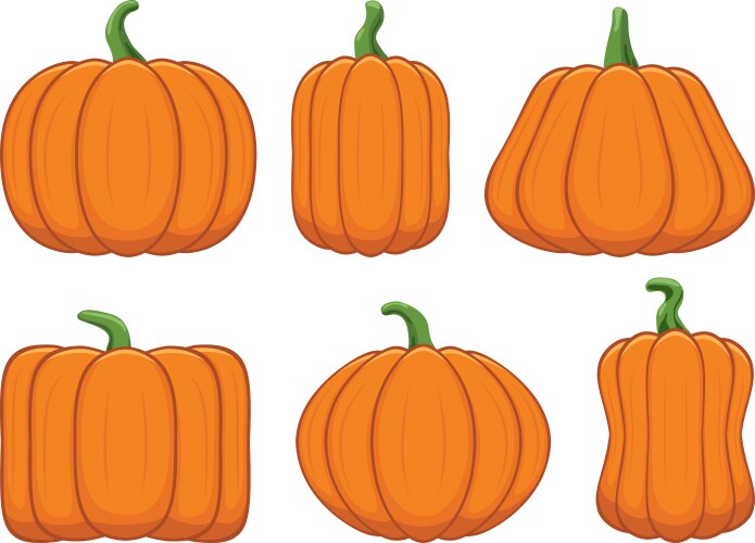 Squash Clipart Vector Images (over 1,300)