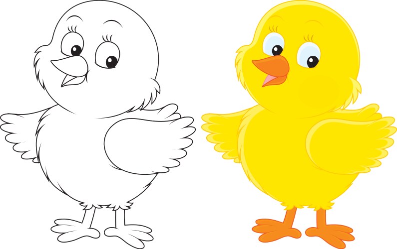 Chick Outline Vector Images (over 5,500)