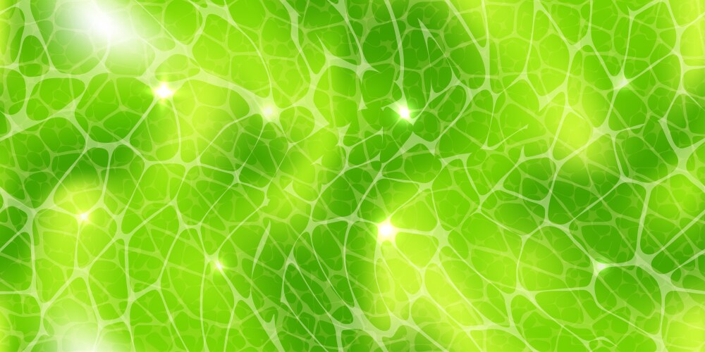 Plant Cell Vector Images (over 10,000)