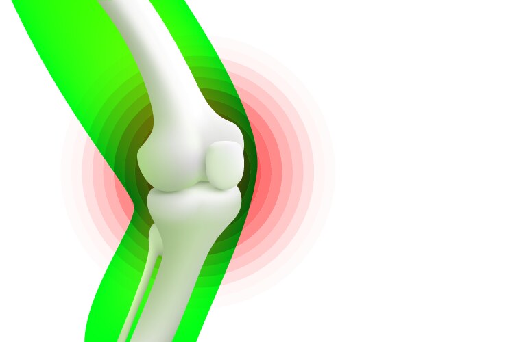 Diagram of Knee Vector Images (over 820)