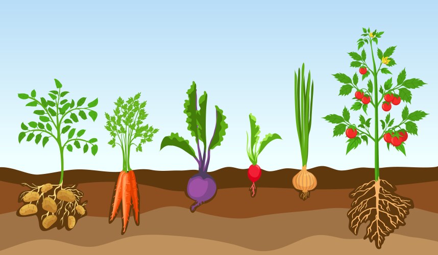 Soil Cartoon Vector Images (over 15,000)