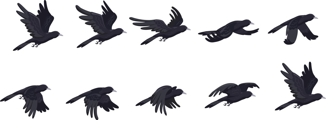 Ravens Flying Drawing