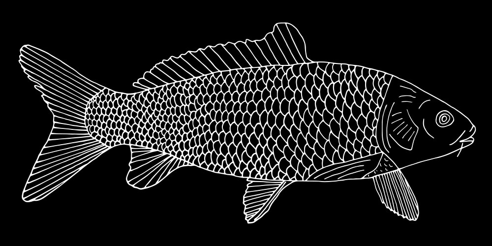 Logo Carp Vector Images (over 2,800)