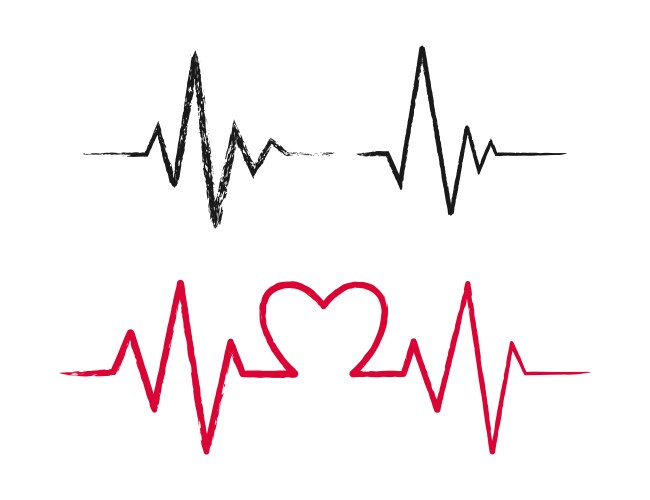 Ecg sinusoidal pulse lines frequency heartbeat Vector Image