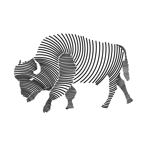 Bison Buffalo Line Drawing Vector Images (over 620)