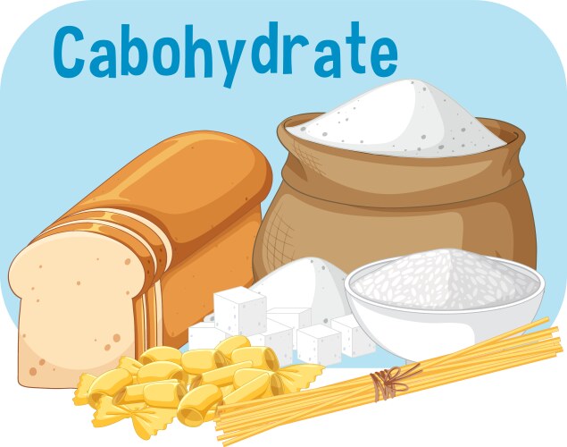 Assorted carbohydrate sources in cartoon style Vector Image