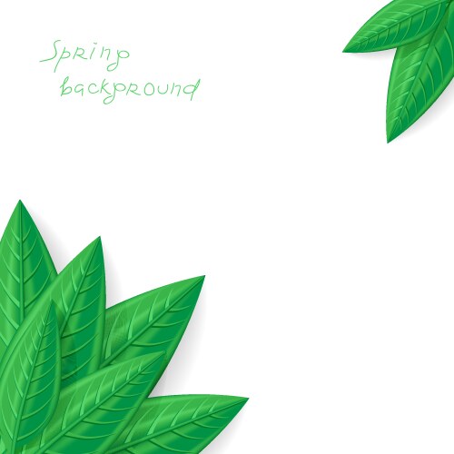 Corner Leaves Vector Images (over 3,900)