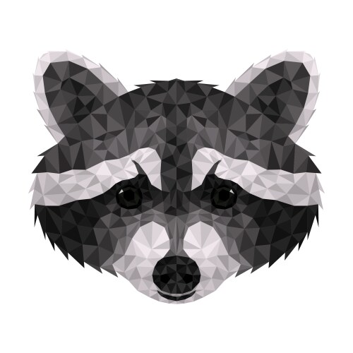 Puma cougar low poly face Royalty Free Vector Image