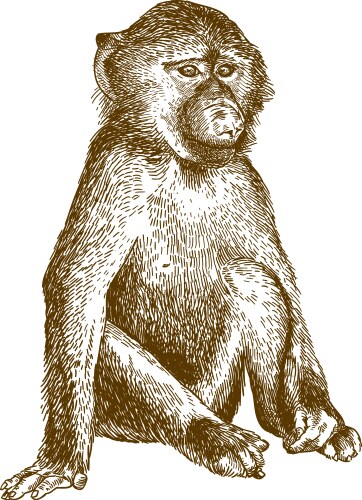 Cub Vector Images (over 28,000)